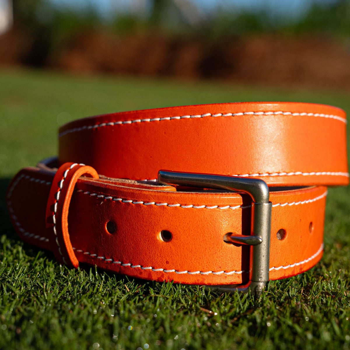 Premium Leather Belts – Bluetross